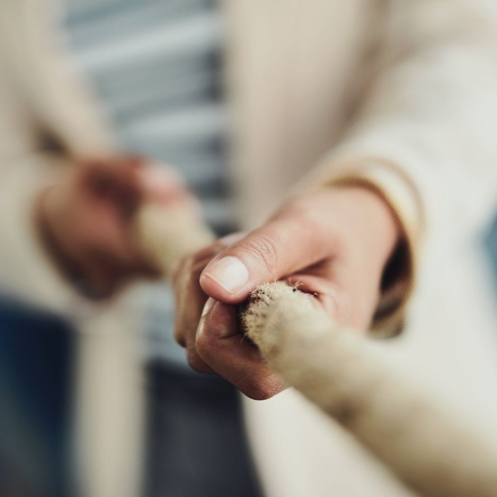 Negotiation with Colleagues: The Art of Conflict Resolution – Medical ...