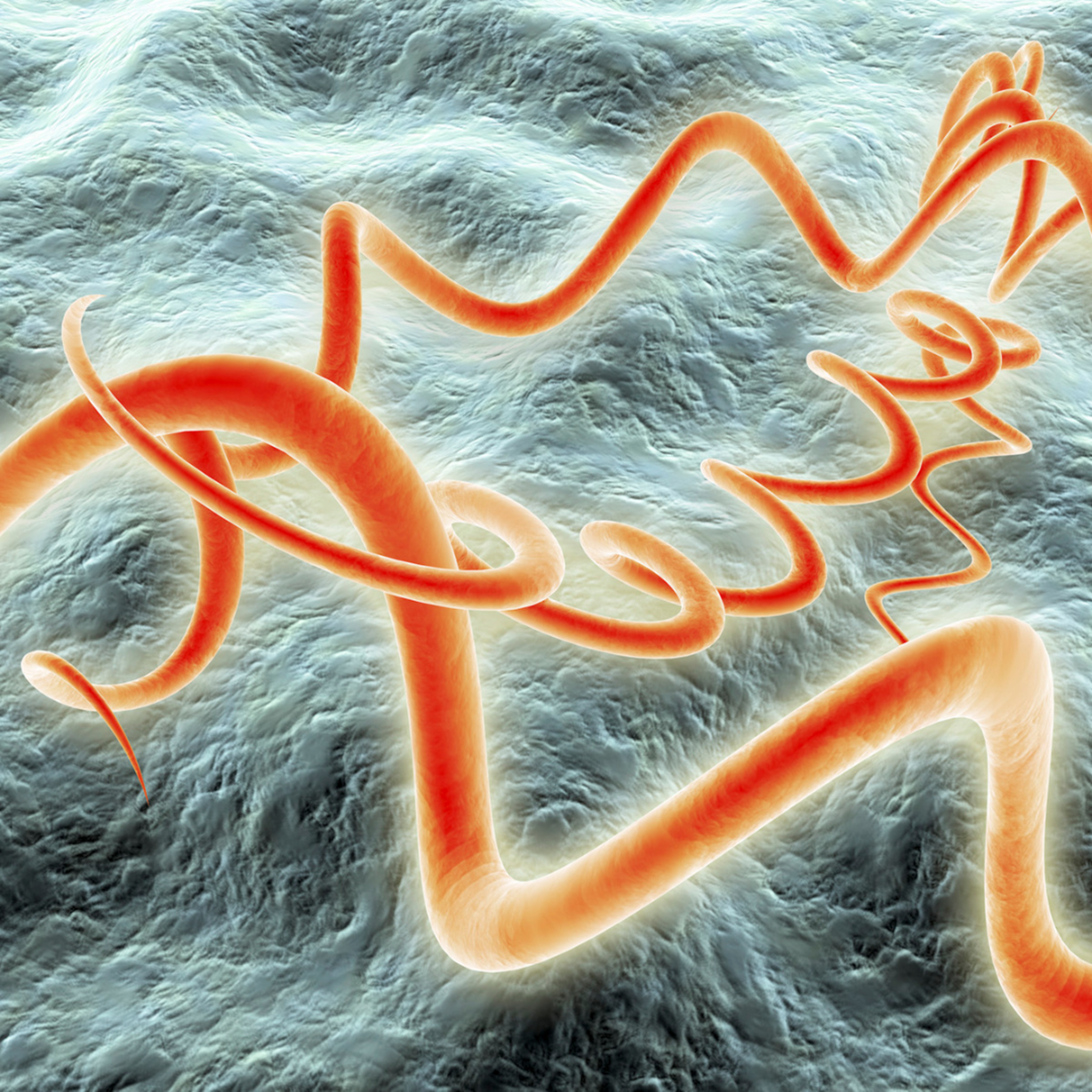 National Surge in Congenital Syphilis – Medical Education Speakers Network